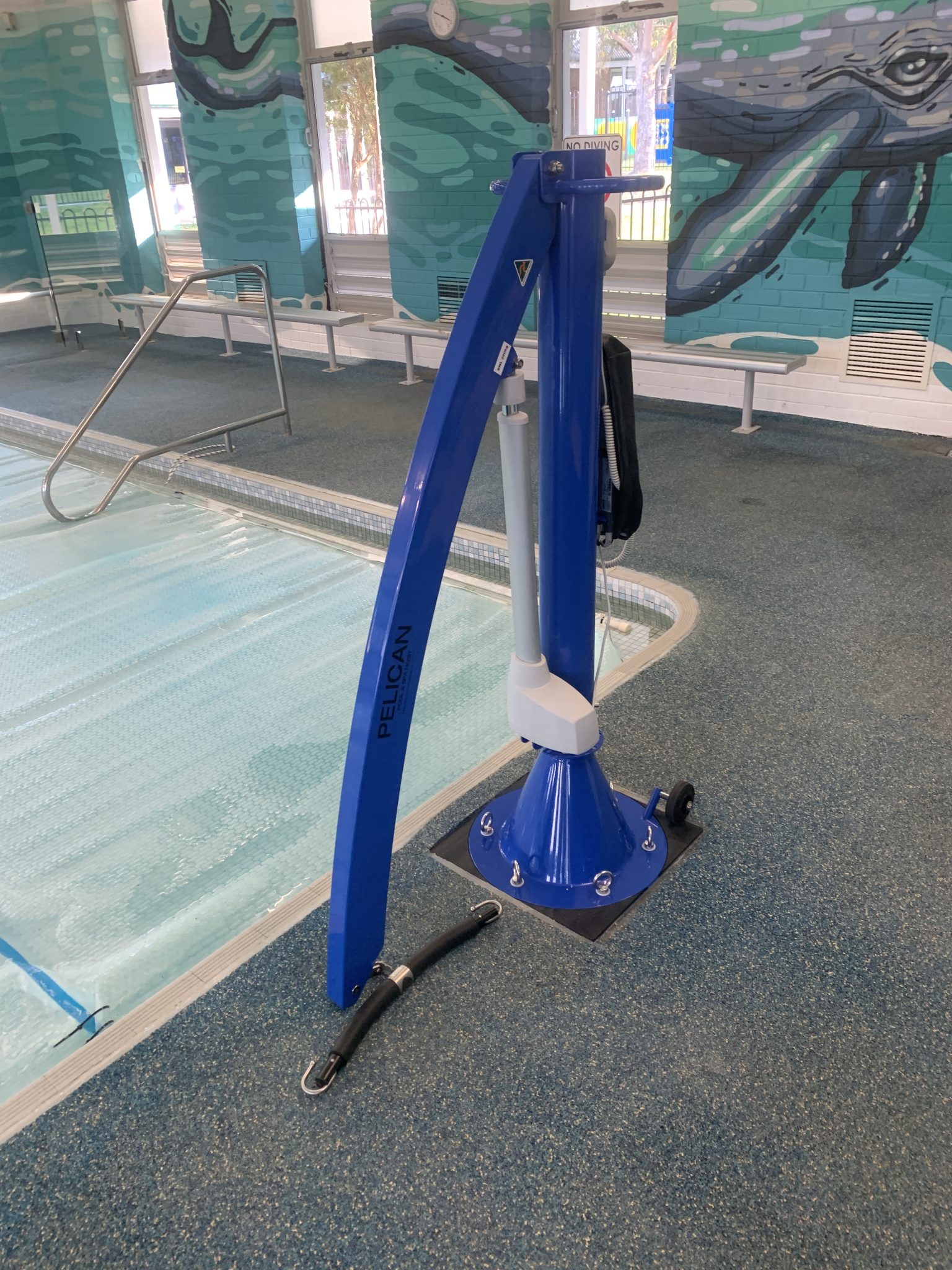Pool Hoists – HenryCare